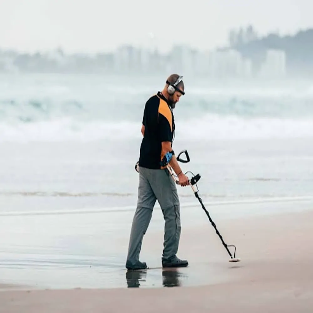 Top Rated Metal Detectors